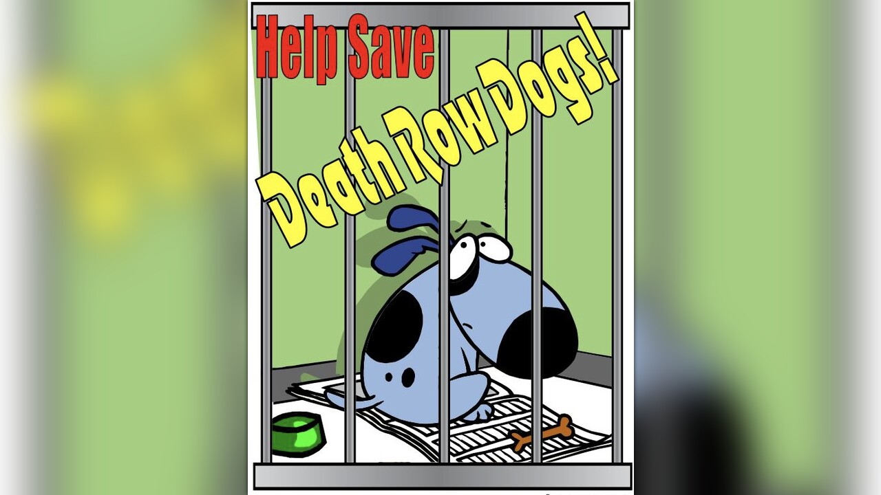 DONATE TO SAVE THE DEATH ROW ANIMALS! by Safely Sheltered Animal Rescue