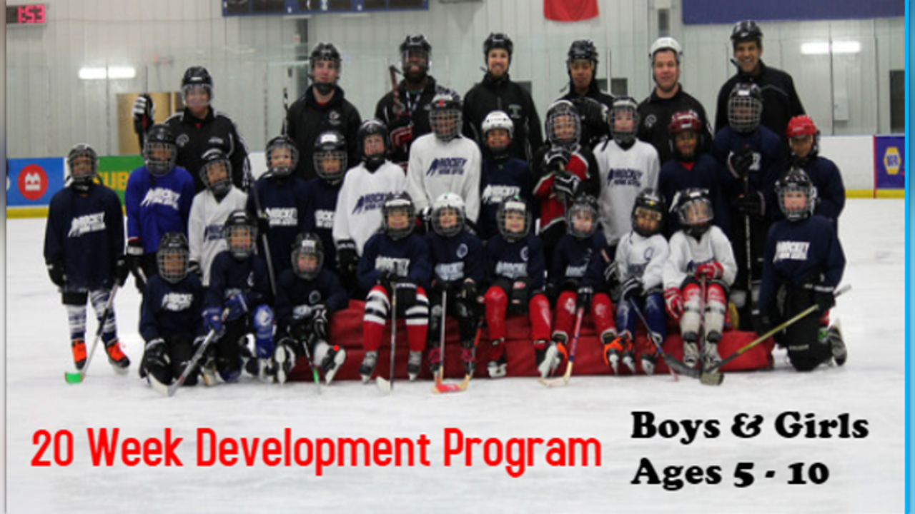 Black Youth Hockey Community Campaign by 2020 Black Youth Ice Hockey ...