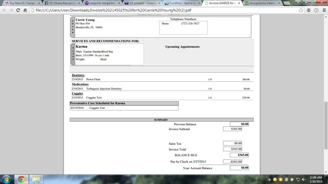 Vet Bill by Ohana Rescue Inc