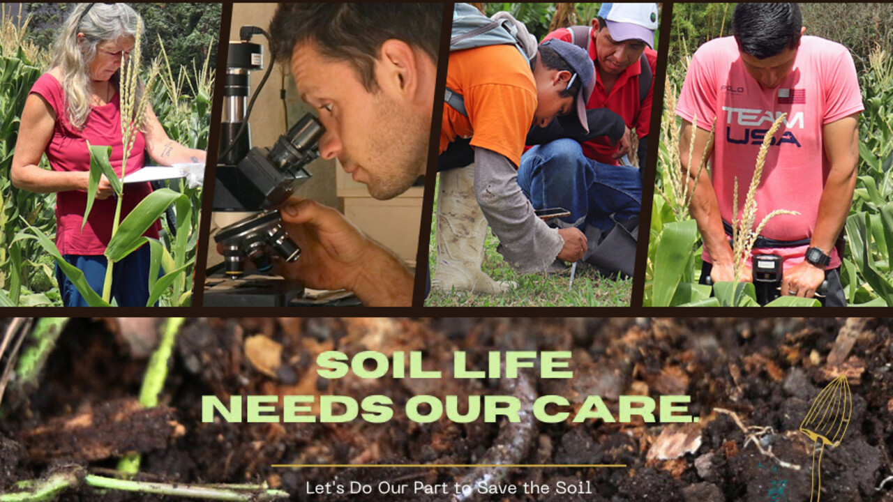 Land Rejuvenation & Regeneration & More, Ecuador by linda gibbs