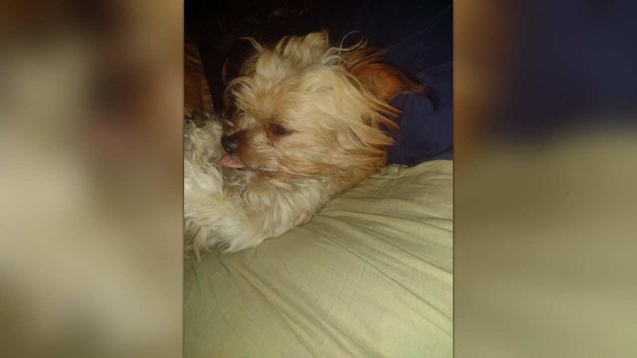 Man's Best friend by Mara Chaney