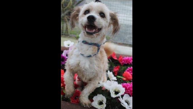 Emma Quaid contributed €10 to yet another in need comes to LAW