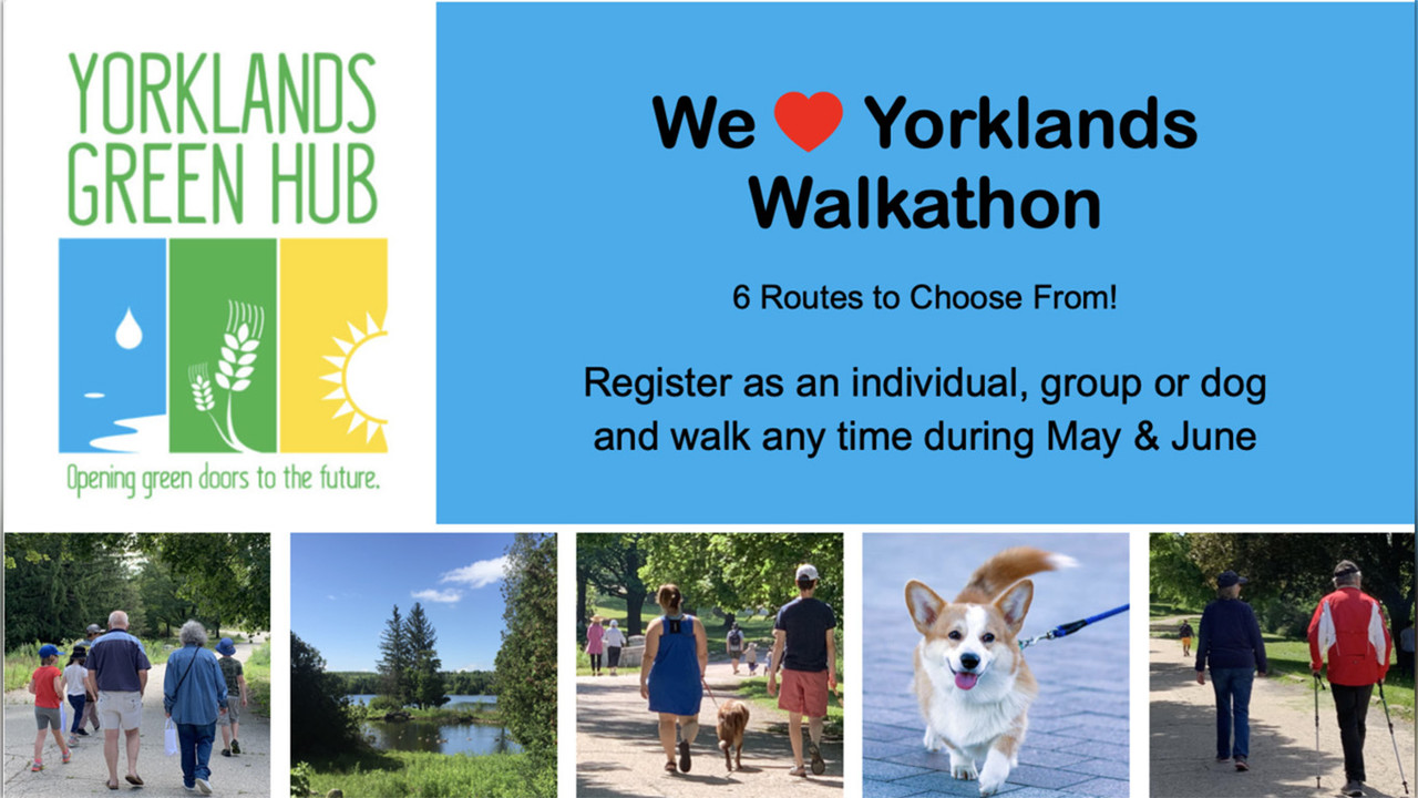We Love Yorklands Walkathon 2022 by Gracie-dog, Katherine and Trevor ...