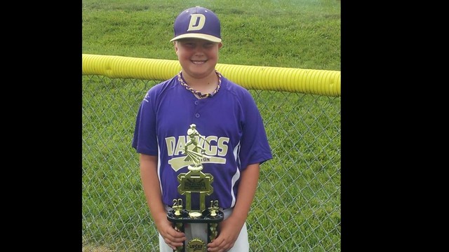 Jacob And Jarons Baseball Fees By David Iseminger jacob-and-jarons-baseball-fees-by-david-iseminger