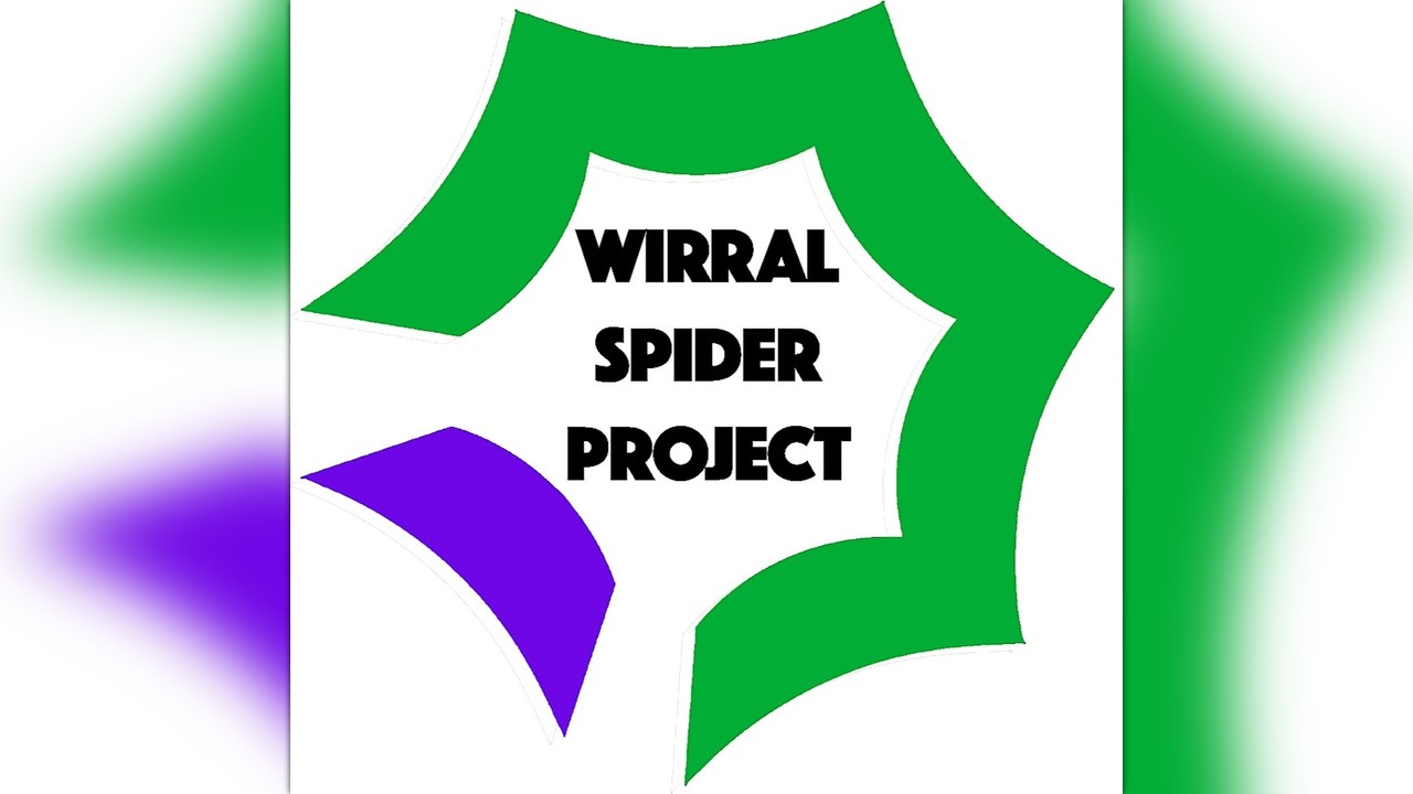 Spider Project CIC by Spider Project