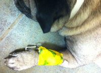 SAVE Sito! by Otis Brayboy