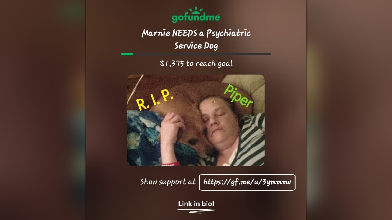 NEED a New (PSD) Psychiatric Service Dog, Back Rent & Back Bill's ...