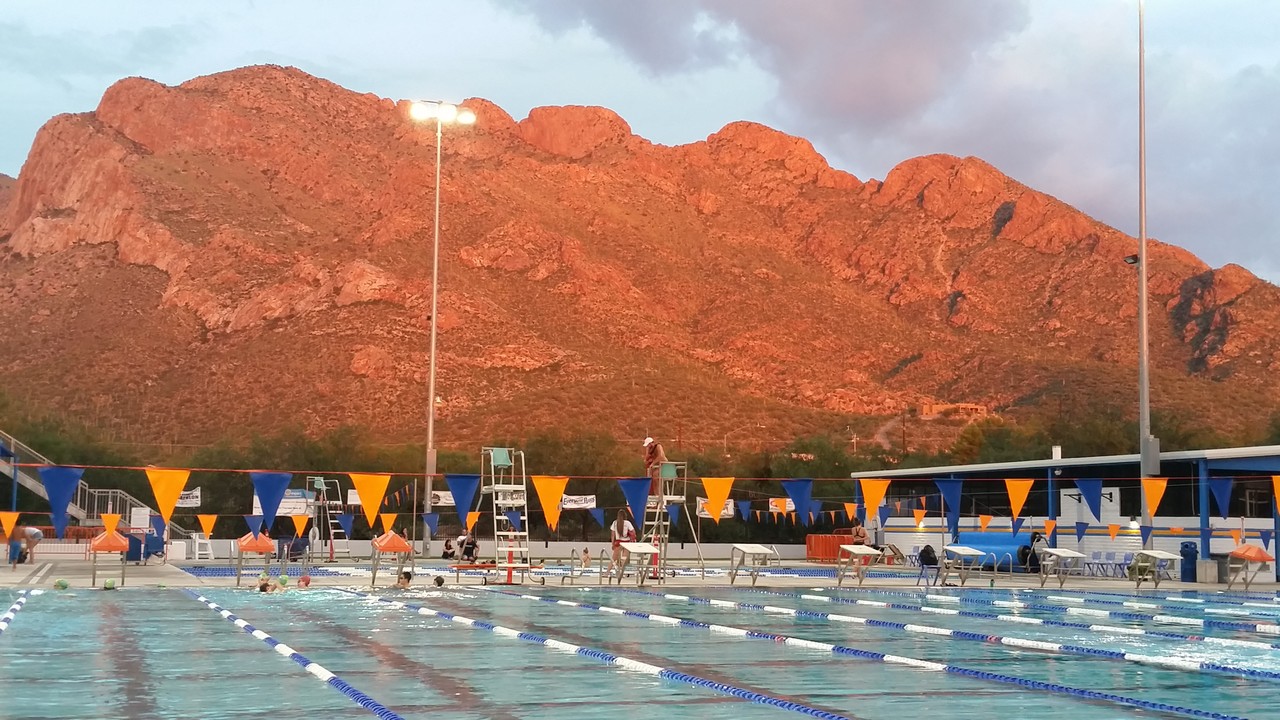 Keep swimming FAST by Michelle Rupe-Switzer