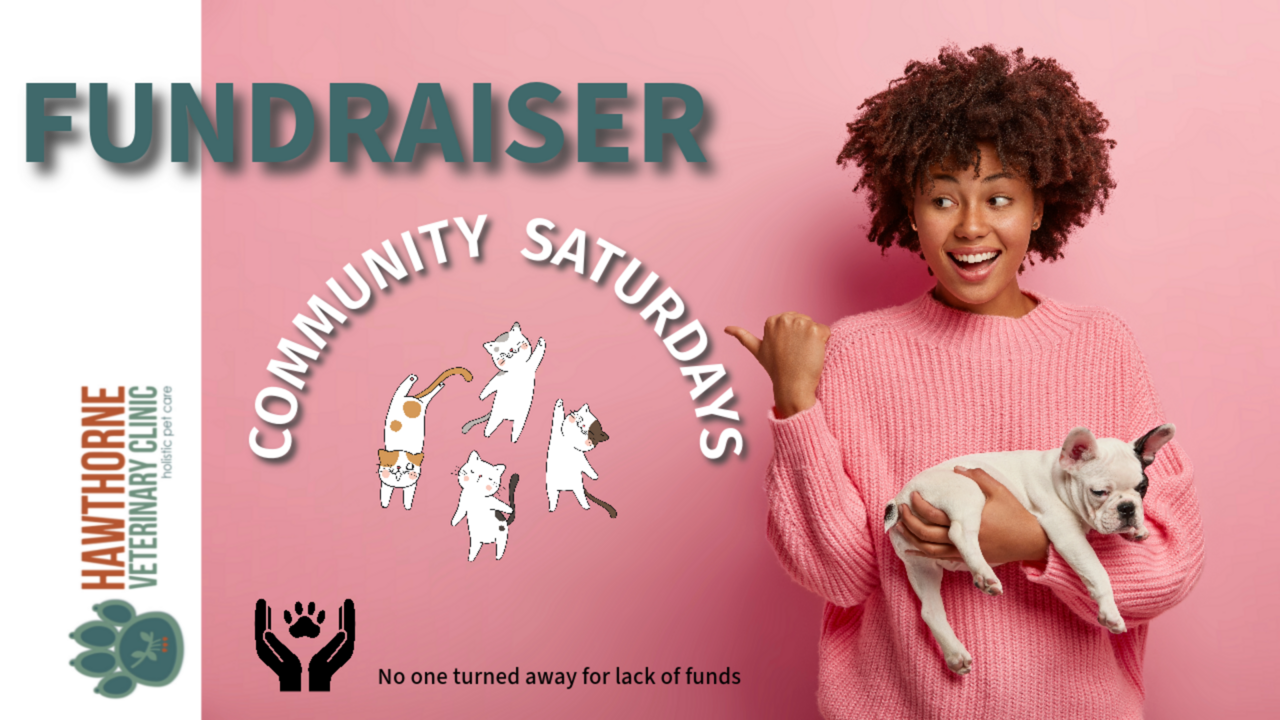 Community Saturday Clinics - Fundraiser by Hawthorne Veterinary Clinic