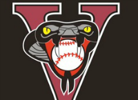 2012 11U Lockport Vipers Fundraiser by Scott Mladic