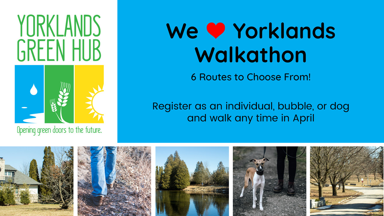 We Love Yorklands Walkathon by Gracie-dog, Katherine and Trevor Elliott ...