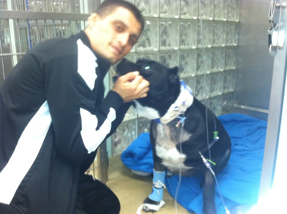 Luis Pinto posted a story update on Pet with surgery complications