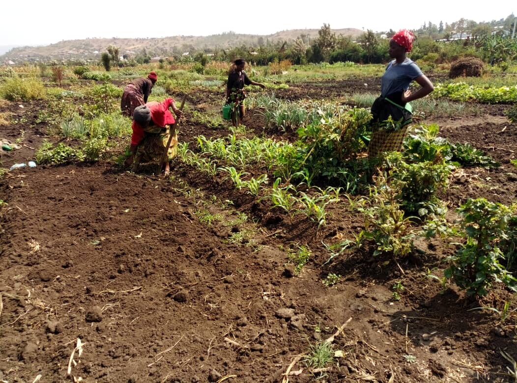 Thrive for Good US posted a story update on Support 180 Life Garden ...