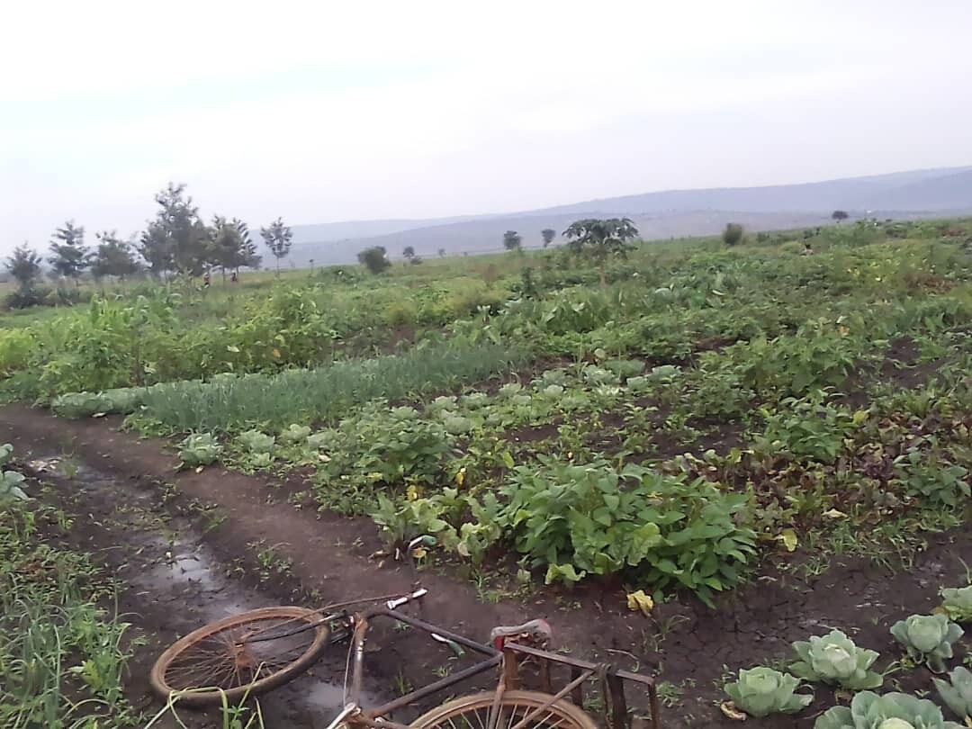 Thrive For Good posted a story update on Support Life Gardens in Kageyo ...