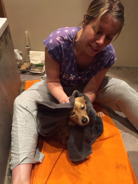 Help Save Riley posted a new Image