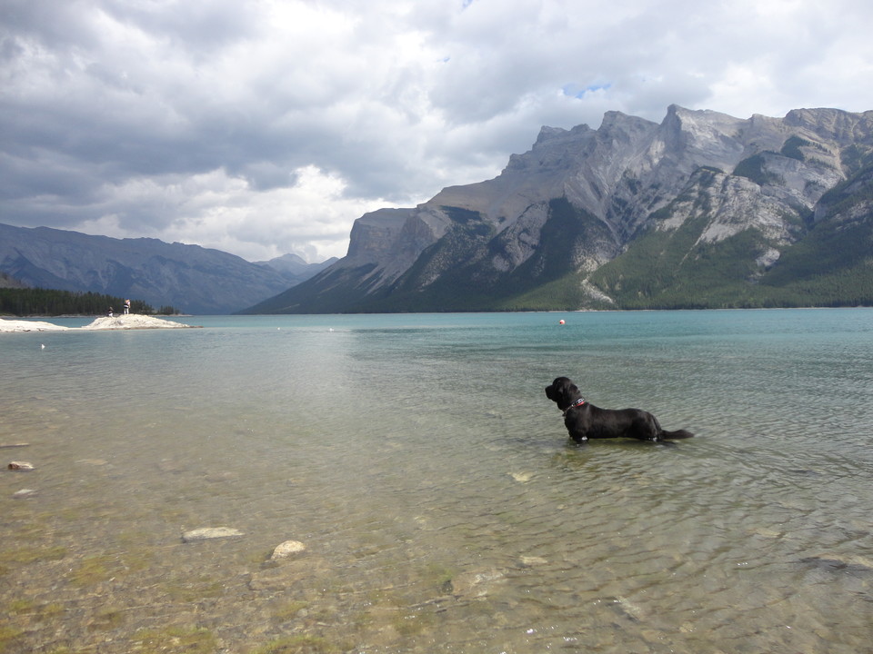 Andrea Jean posted a story update on Please Help Rufus