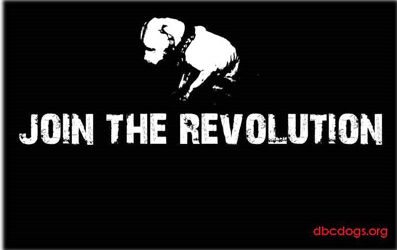 Detroit Bully Corps posted a story update on Detroit Bully Corps- Anti ...