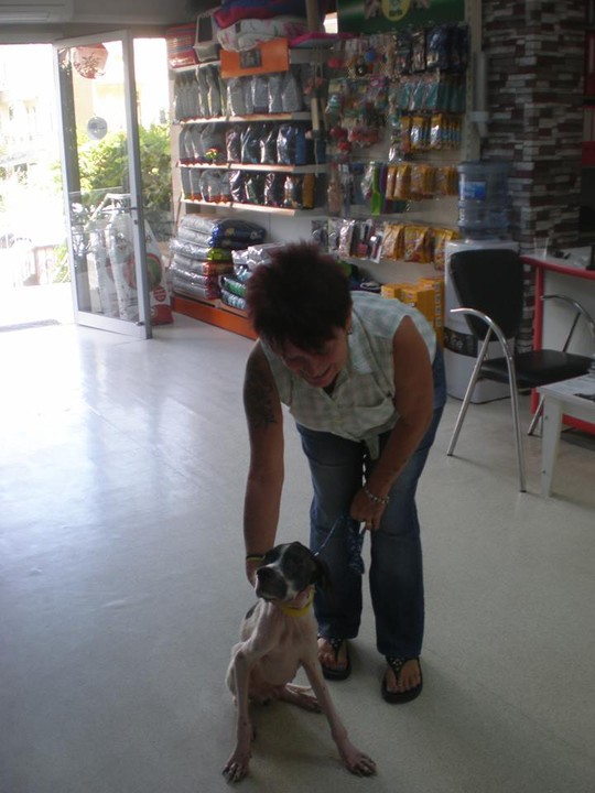 Lesley Emery posted a story update on PLEASE HELP PRECIOUS AND SHADOW ...