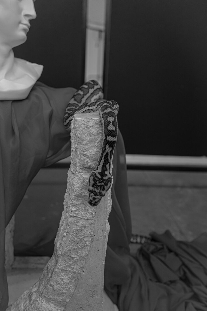 Gorgon Blood Film posted a story update on A Mythological Beast of a ...