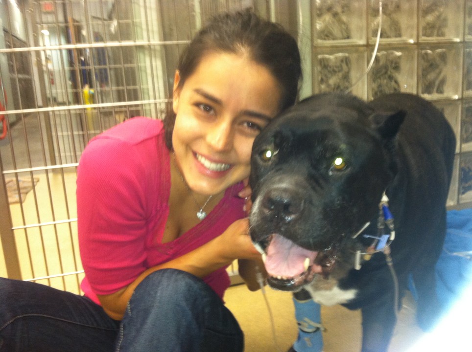 Luis Pinto posted a story update on Pet with surgery complications