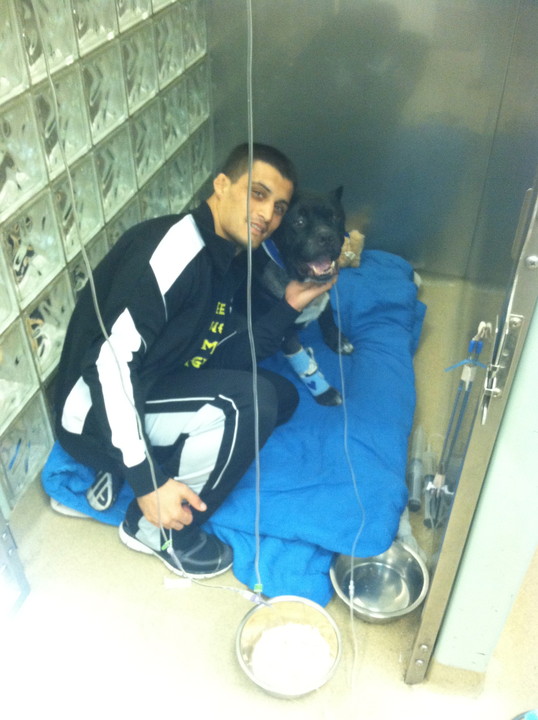 Luis Pinto posted a story update on Pet with surgery complications