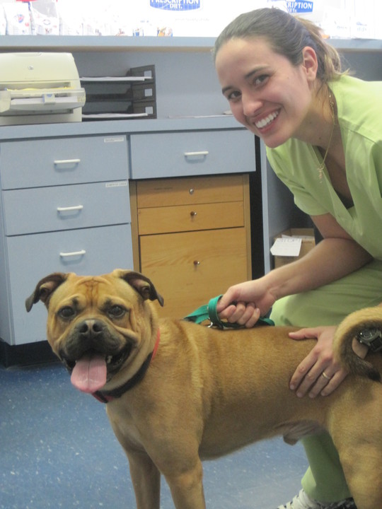Amazon Animal Hospital Foundation posted a story update on Amazon ...