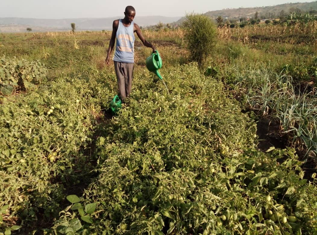 Thrive for Good US posted a story update on Support 180 Life Garden ...