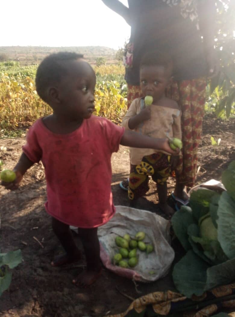 Thrive For Good posted a story update on Support Life Gardens in Kageyo ...