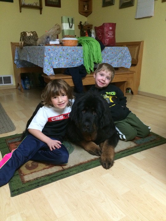 Ashley Pyles posted a story update on Help Callie with Addison's Disease