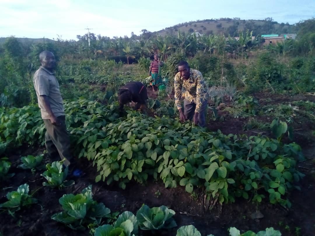 Thrive For Good posted a story update on Support Life Gardens in Kageyo ...