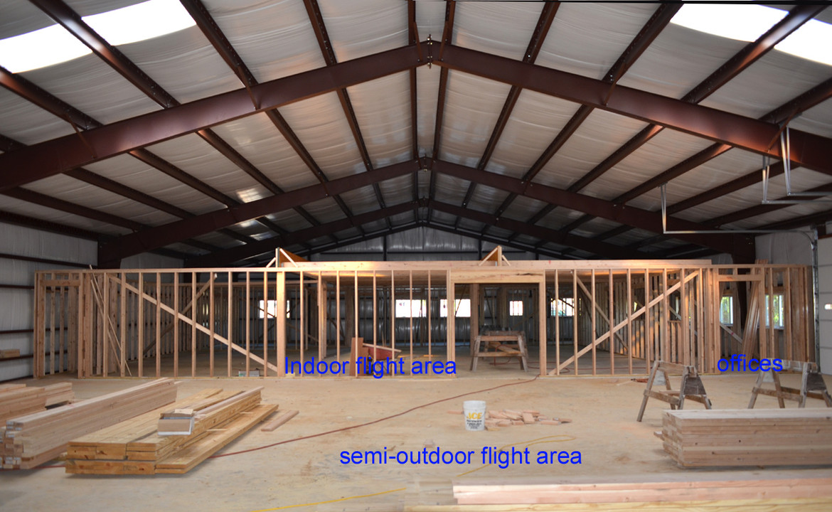 Bat World Sanctuary posted a story update on Bat World Sanctuary New ...