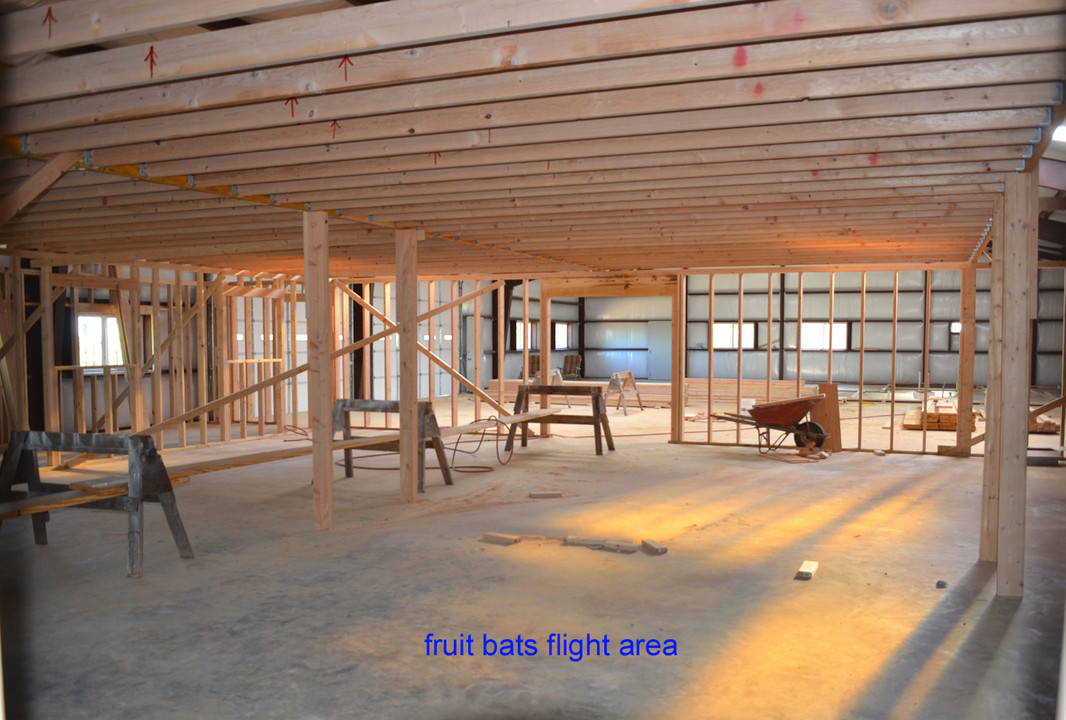 Bat World Sanctuary posted a story update on Bat World Sanctuary New ...