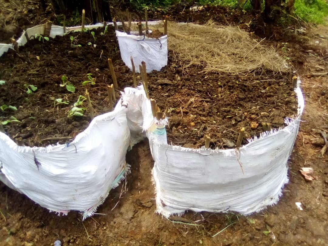 Thrive For Good posted a story update on Support Life Gardens in Kageyo ...