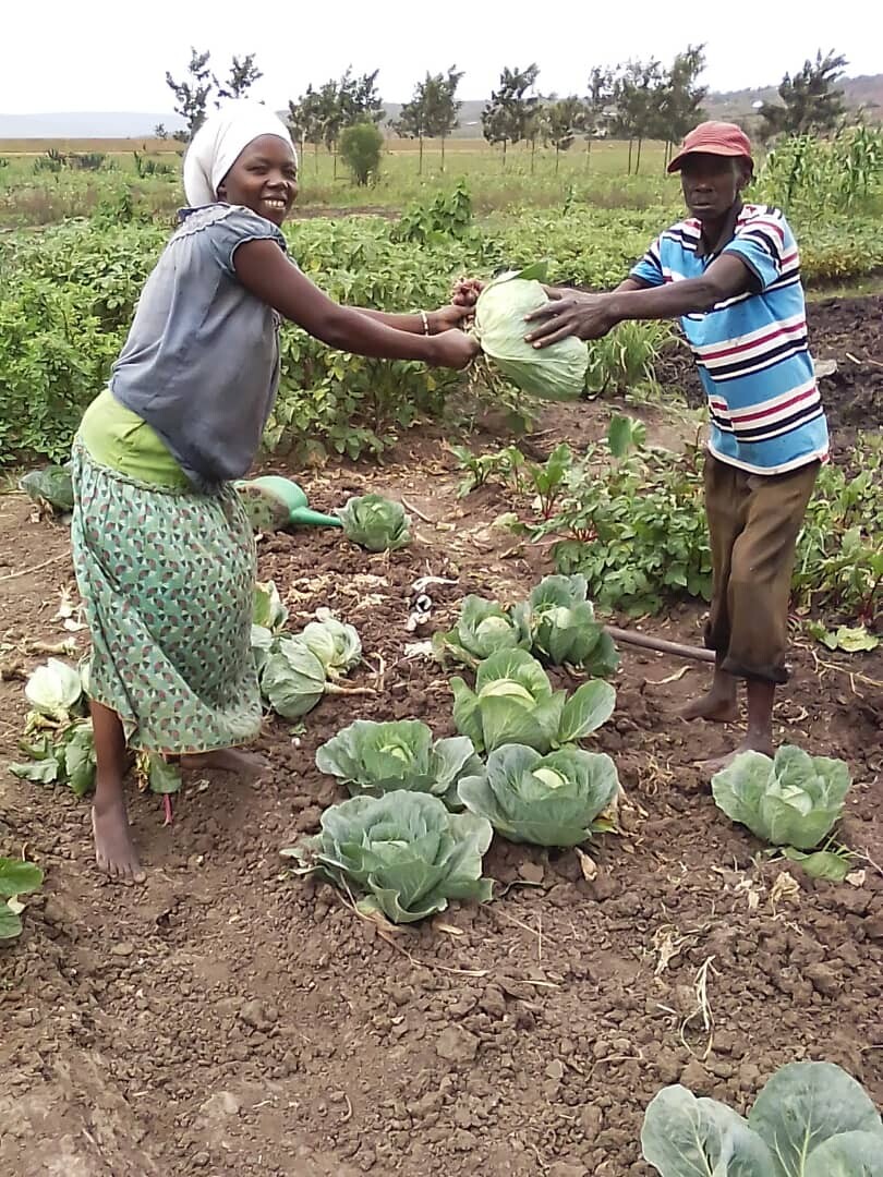 Thrive For Good posted a story update on Support Life Gardens in Kageyo ...