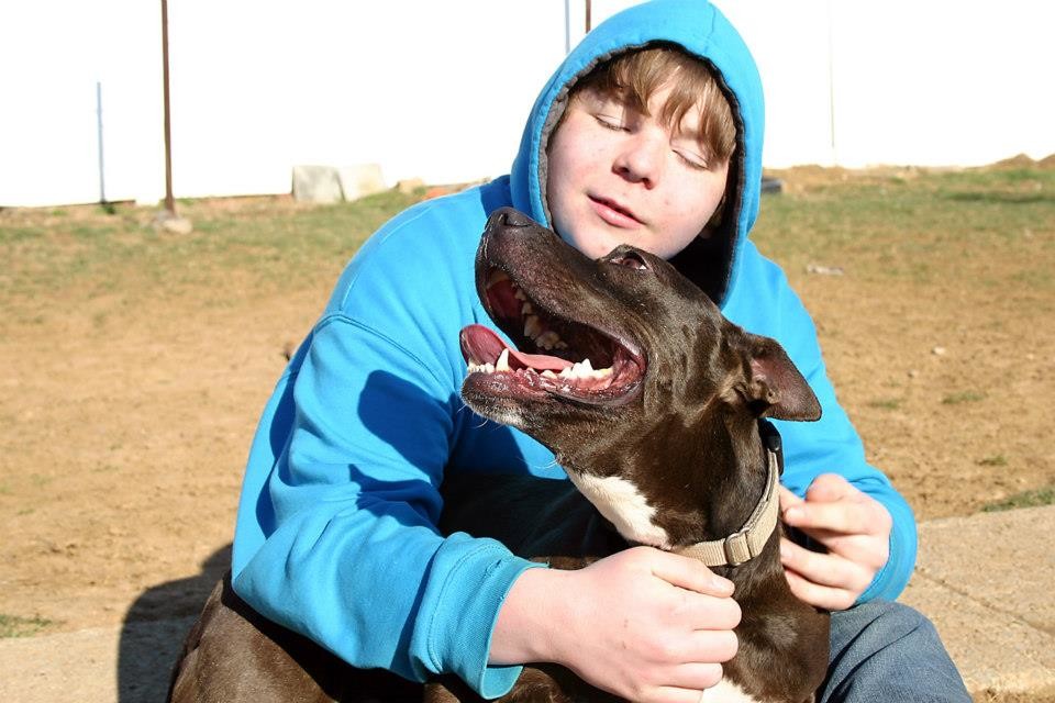 Im-Paws-Able Dog Rescue, Inc. posted a story update on Chinpa Puntsok's ...