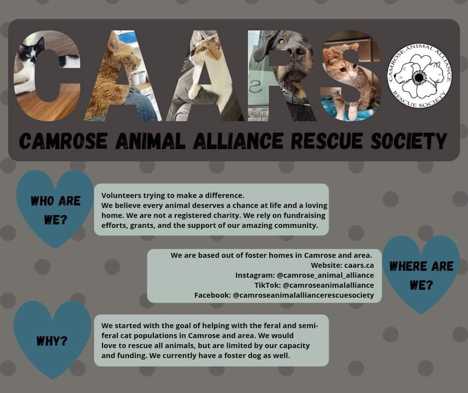 Camrose Animal Alliance Rescue Society posted a story update on Please ...