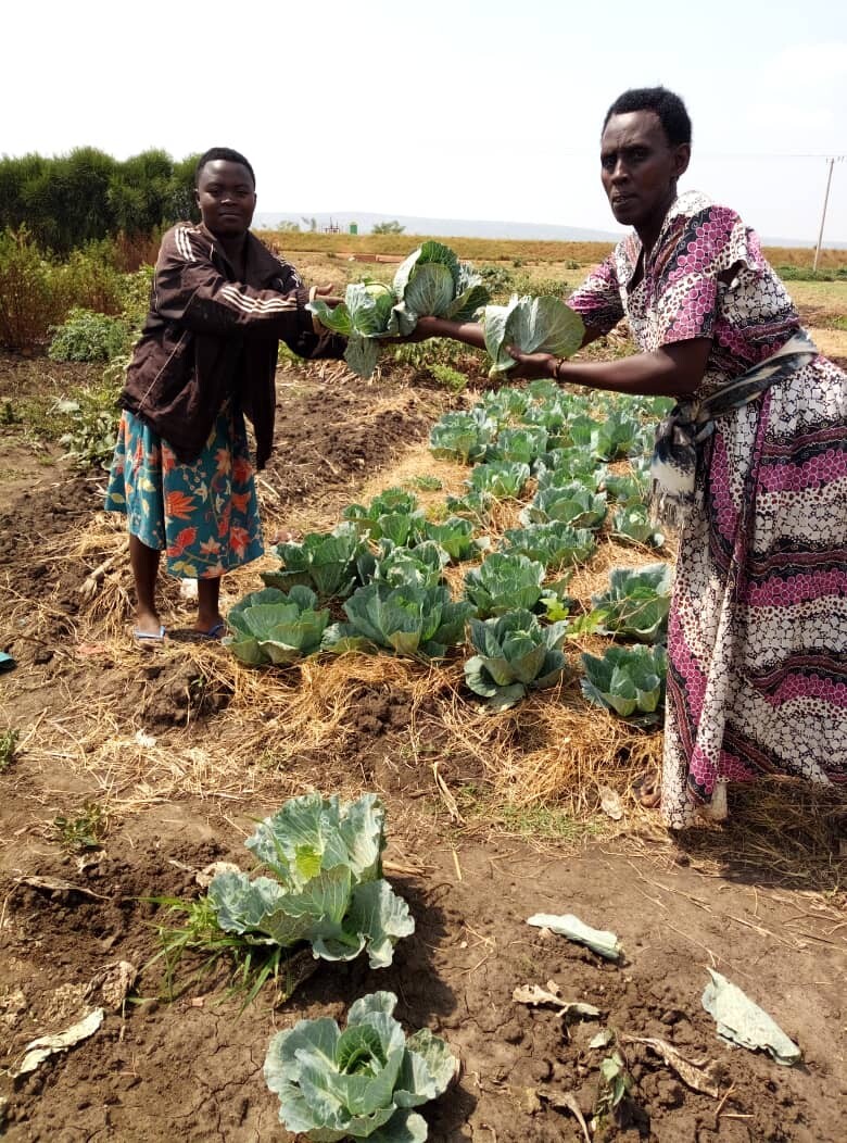 Thrive for Good US posted a story update on Support 180 Life Garden ...