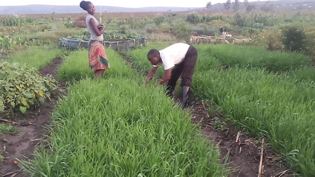 Thrive For Good posted a story update on Support Life Gardens in Kageyo, Rwanda