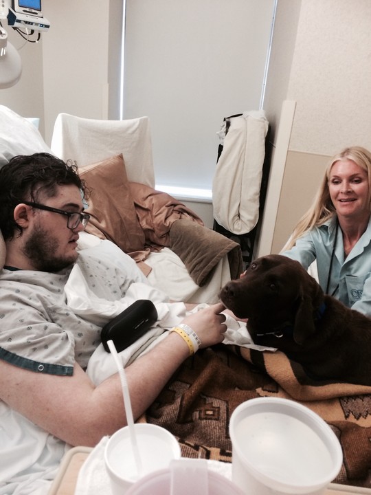 Lex Meester posted a story update on Please help Lex Meester with ...