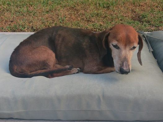 Help DRSF Help Dickens posted a new Image