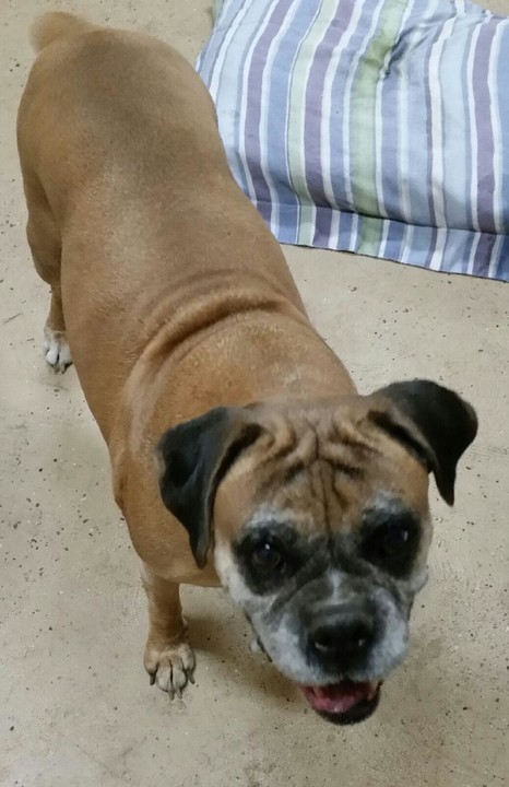 River Valley Animal Rescue posted a story update on Please Help Fund ...