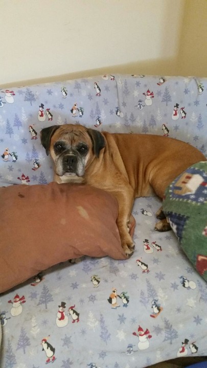 River Valley Animal Rescue posted a story update on Please Help Fund ...