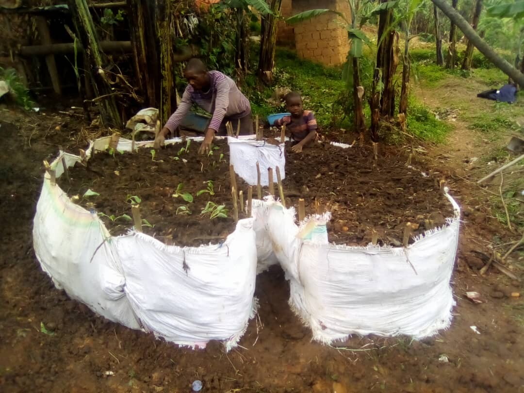 Thrive For Good posted a story update on Support Life Gardens in Kageyo ...