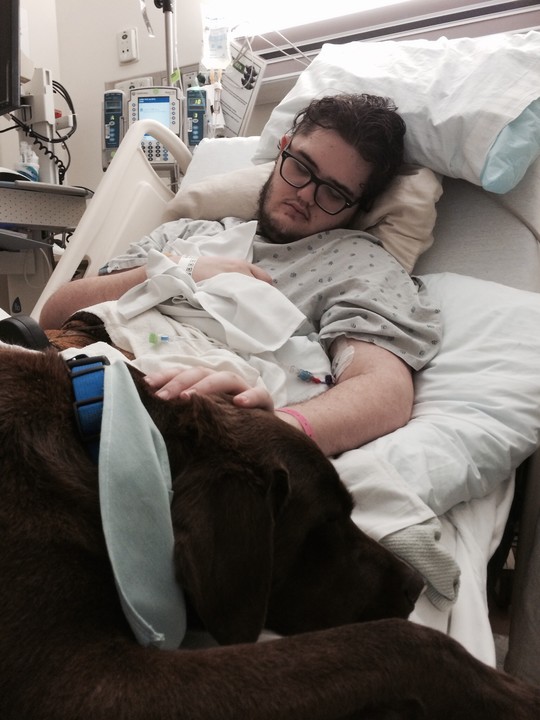 Lex Meester posted a story update on Please help Lex Meester with ...
