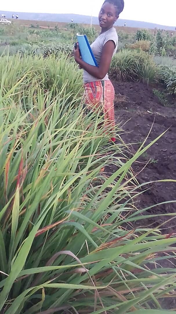 Thrive For Good posted a story update on Support Life Gardens in Kageyo ...