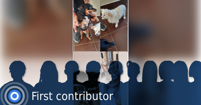 Four victims of neglection needs URGENTLY your support reached a milestone