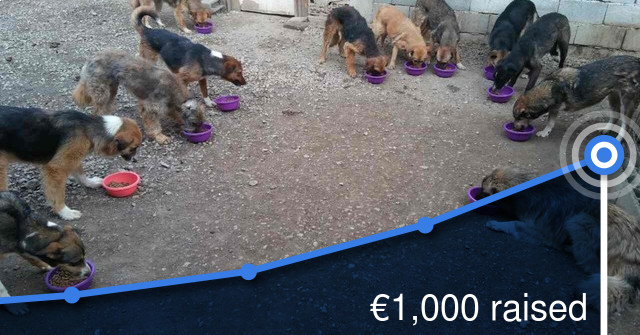 **Help 150 rescued animals to get FOOD** reached a milestone