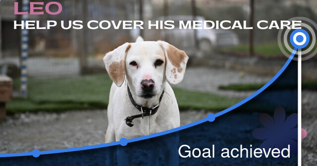 LEO - Help us cover his medical care reached a milestone