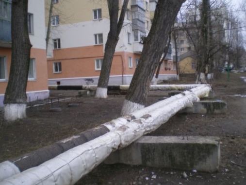 Ukrainian woman cares for Russian homeless cats! by Alexander Vozovik